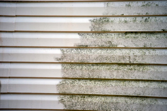 Revitalize Your Home’s Exterior with Siding Softwashing | West Virginia ...
